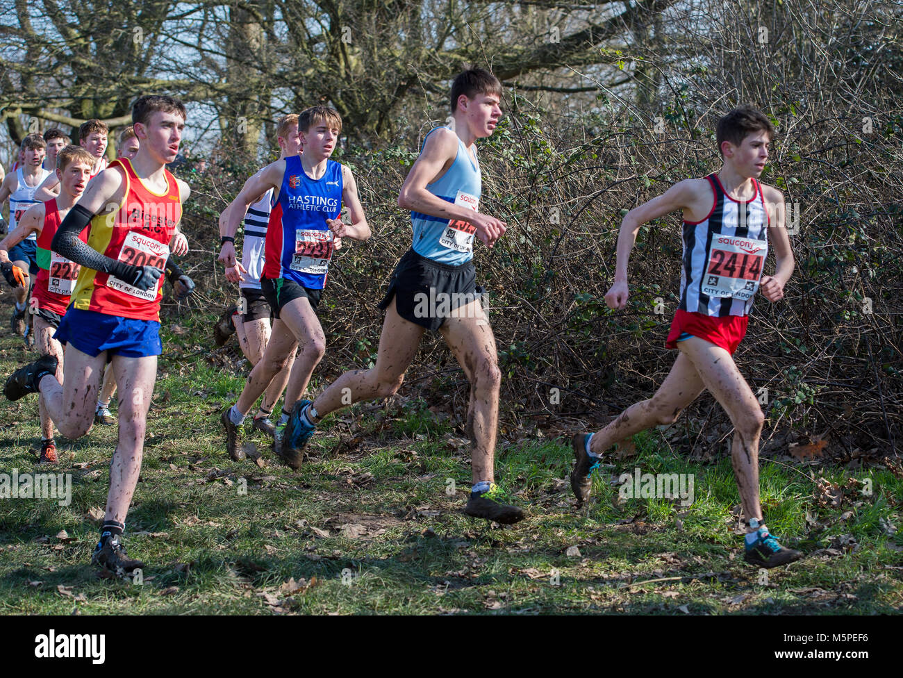 English National Cross Country Championships 2018 Stock Photo - Alamy