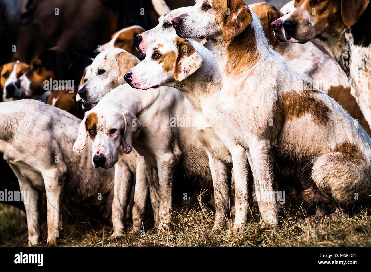 Rolling Border Hills High Resolution Stock Photography and Images - Alamy