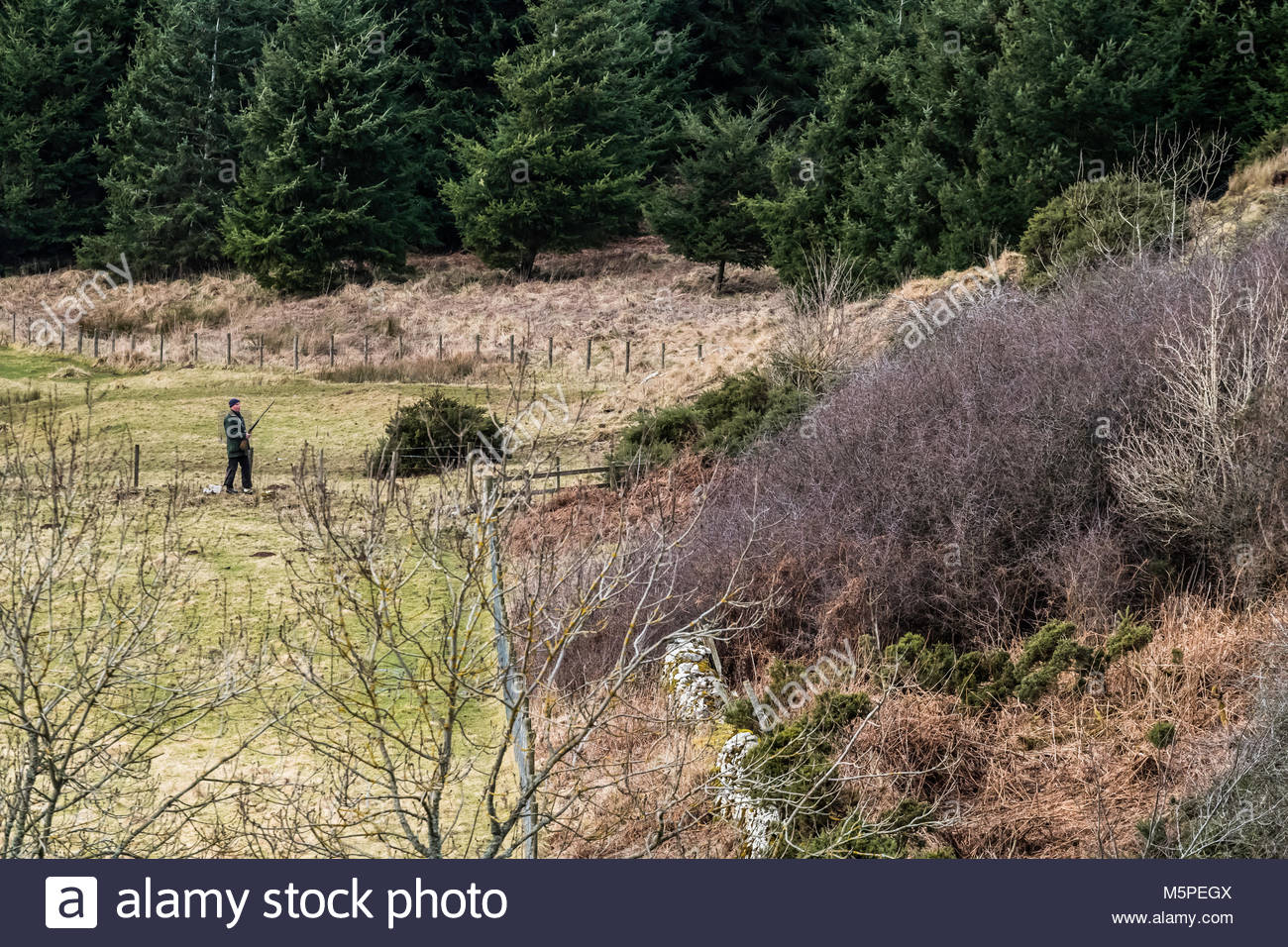 Jedforest Hunt Stock Photos & Jedforest Hunt Stock Images - Alamy