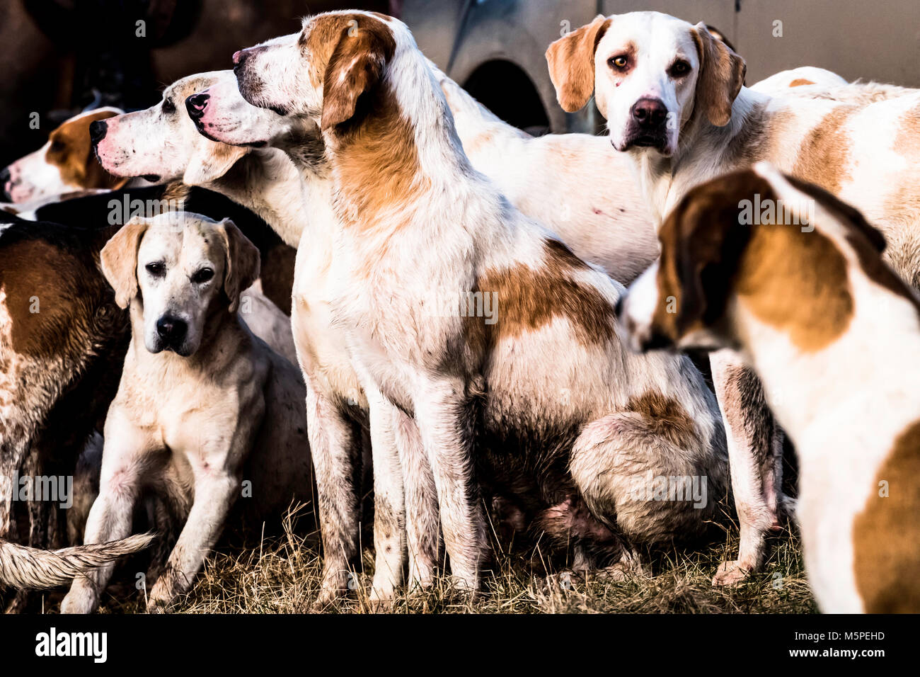 Rolling Border Hills High Resolution Stock Photography and Images - Alamy