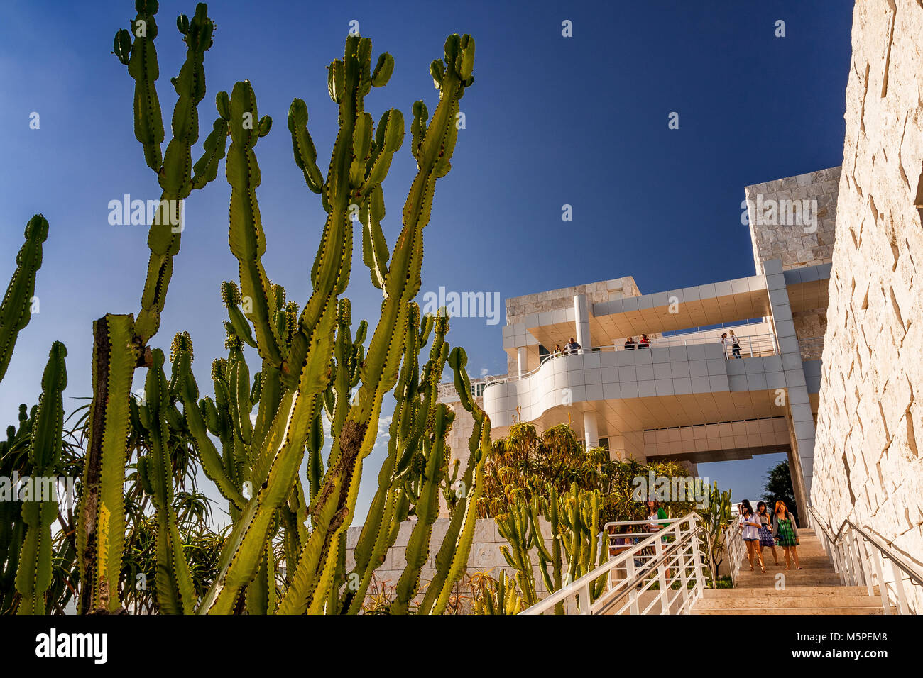 Cactus garden at The Getty Center, Museum and Research Center, designed ...