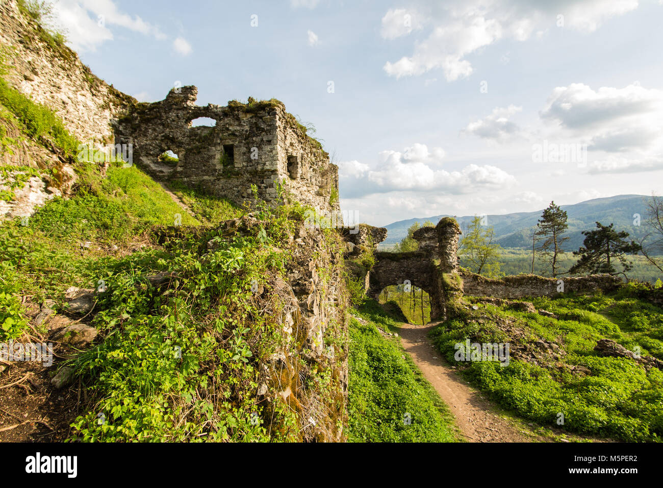 The ruins of the castle in Hust, Transcarpathia, Ukraine Stock Photo ...