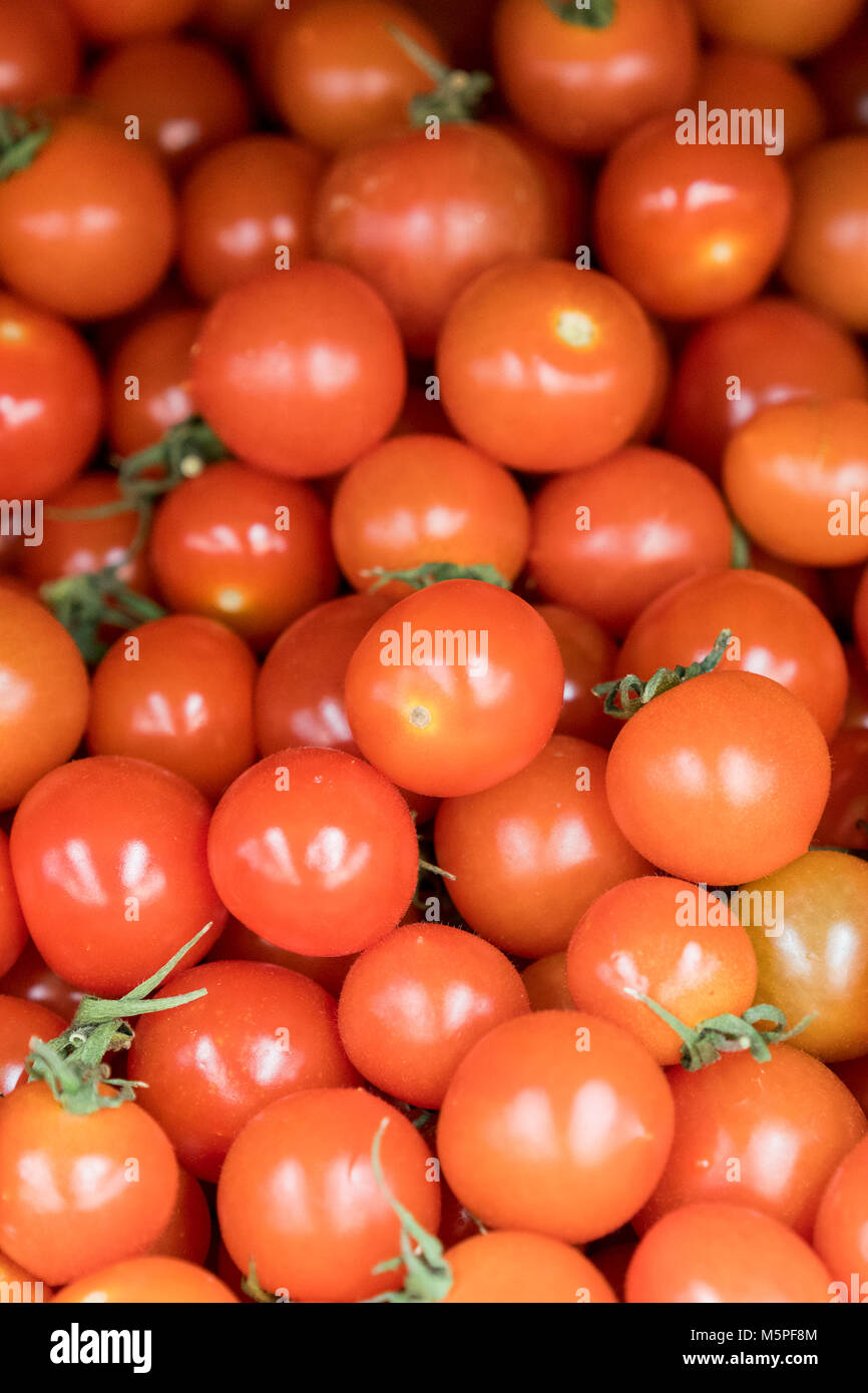 a lot of small red tomatoes Stock Photo - Alamy