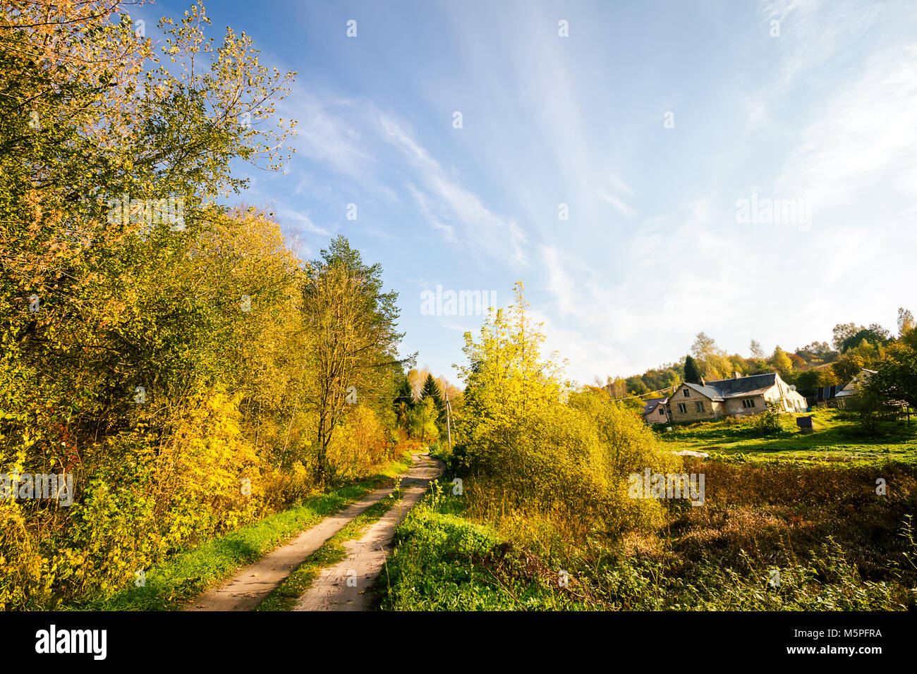 A colorful autumn road leading to a home Stock Photo - Alamy