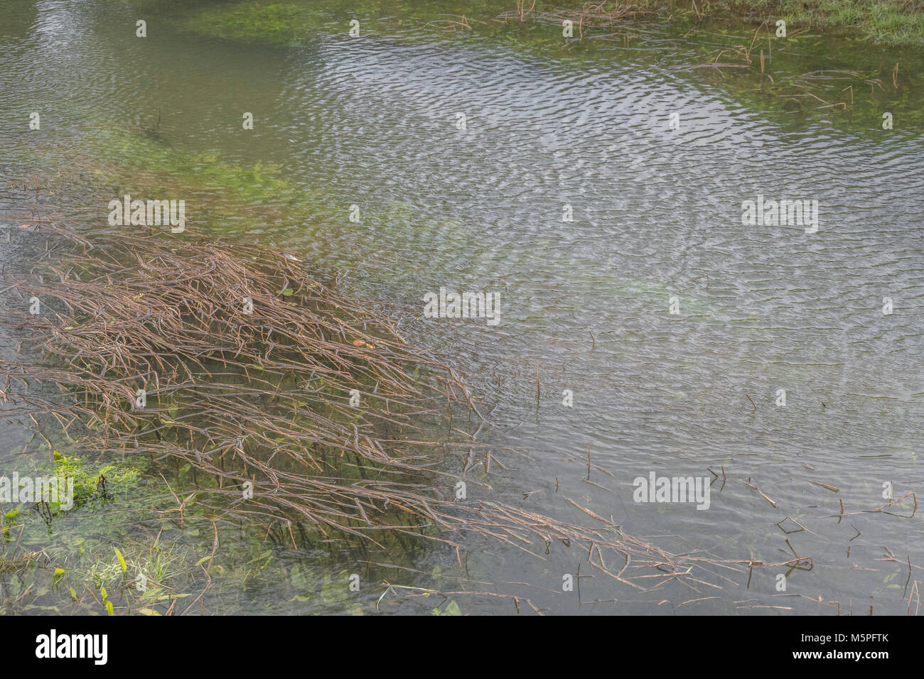 Unseen ripples concept hi-res stock photography and images - Alamy