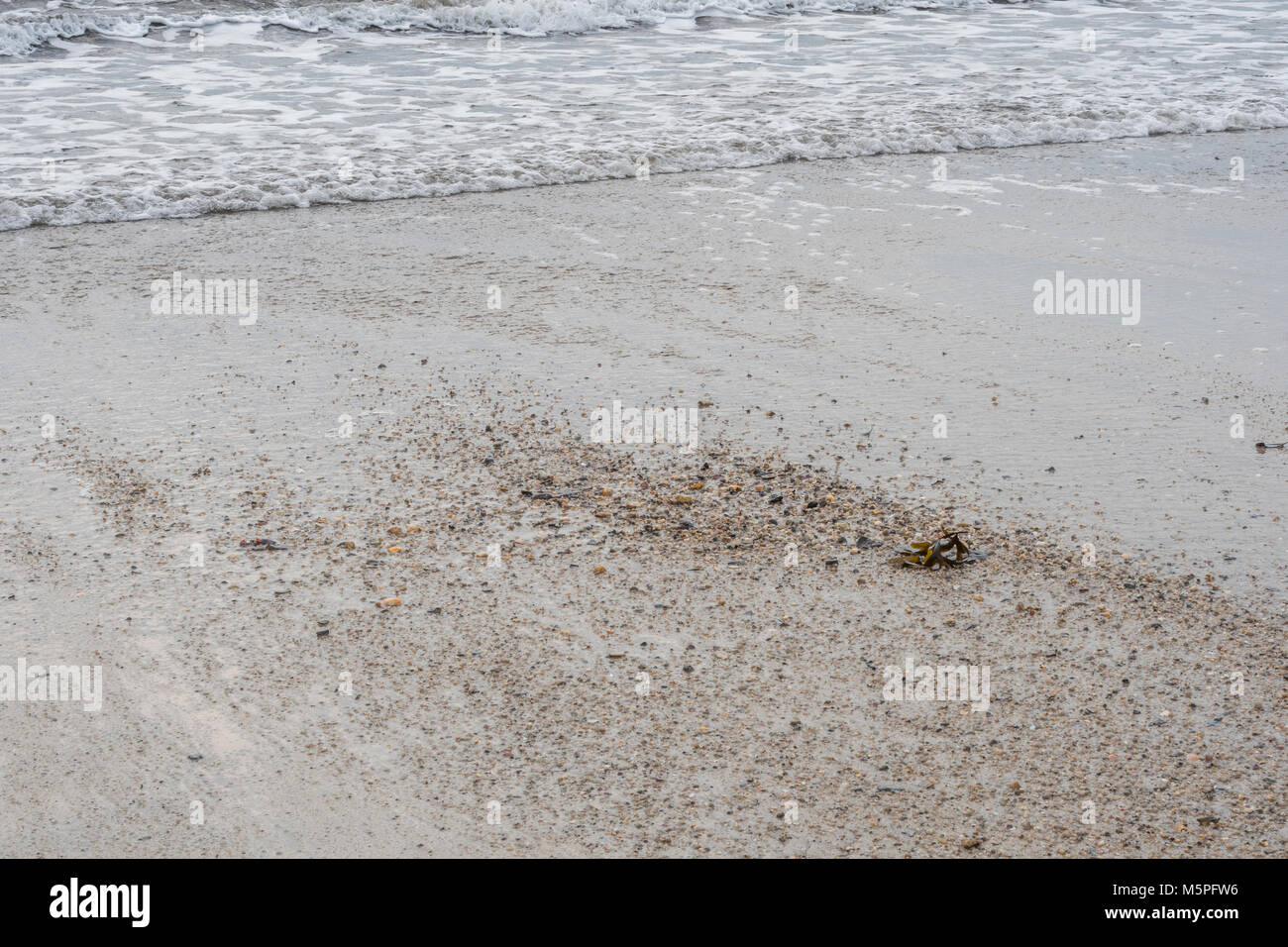 Outgoing tidal tide hi-res stock photography and images - Alamy