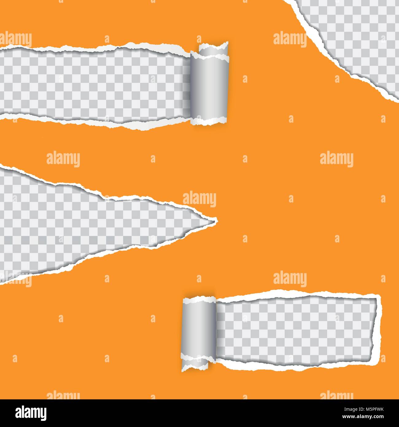 Set vector realistic illustration of orange torn paper with rolled edge ...