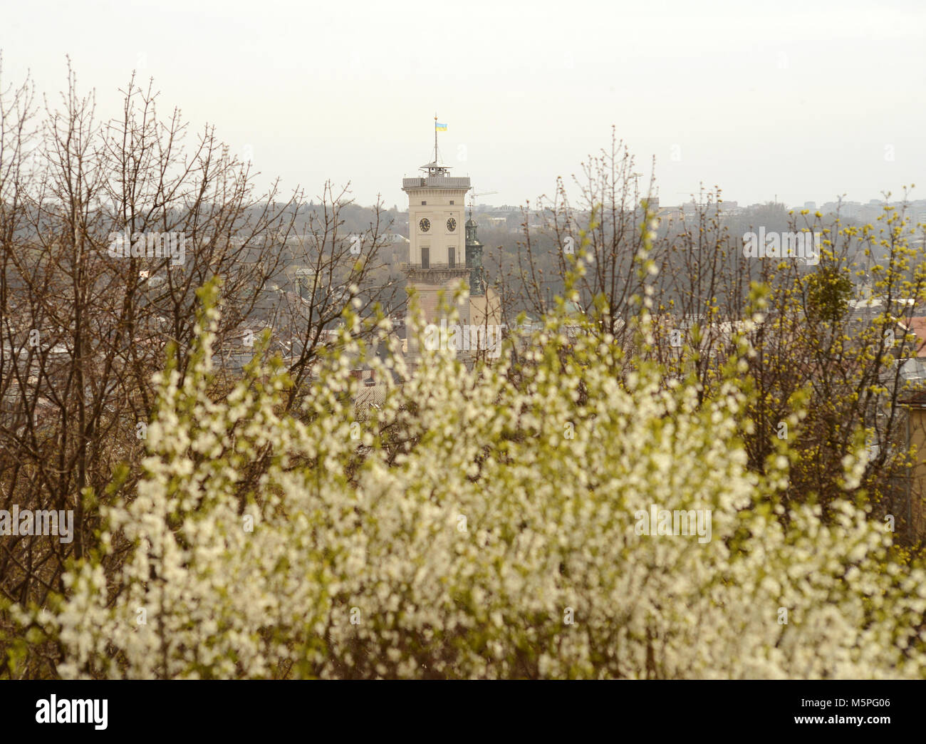 Lviv City Hall tower. Spring in Lviv, Ukraine Stock Photo - Alamy