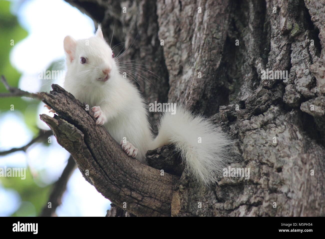 Shelters Appalachian High Resolution Stock Photography and Images - Alamy