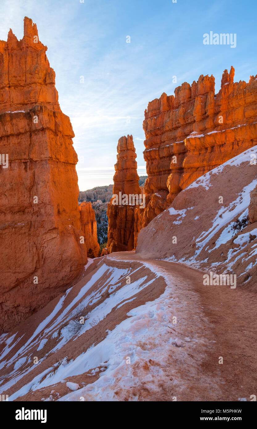 Trail leads into the Bryce Canyon at the Sunset Point in Bryce Canyon ...