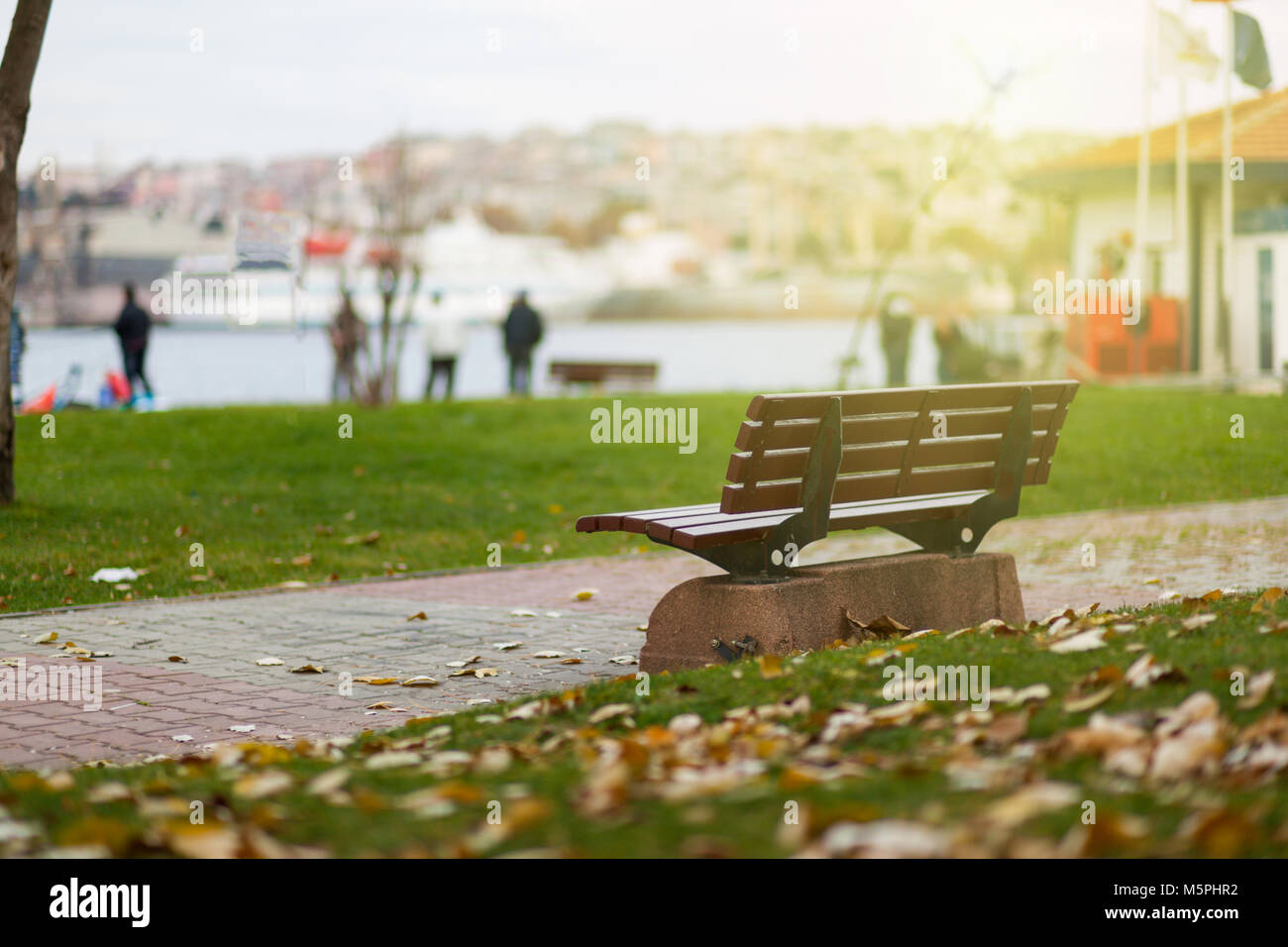 Empty bench in park Stock Photo - Alamy