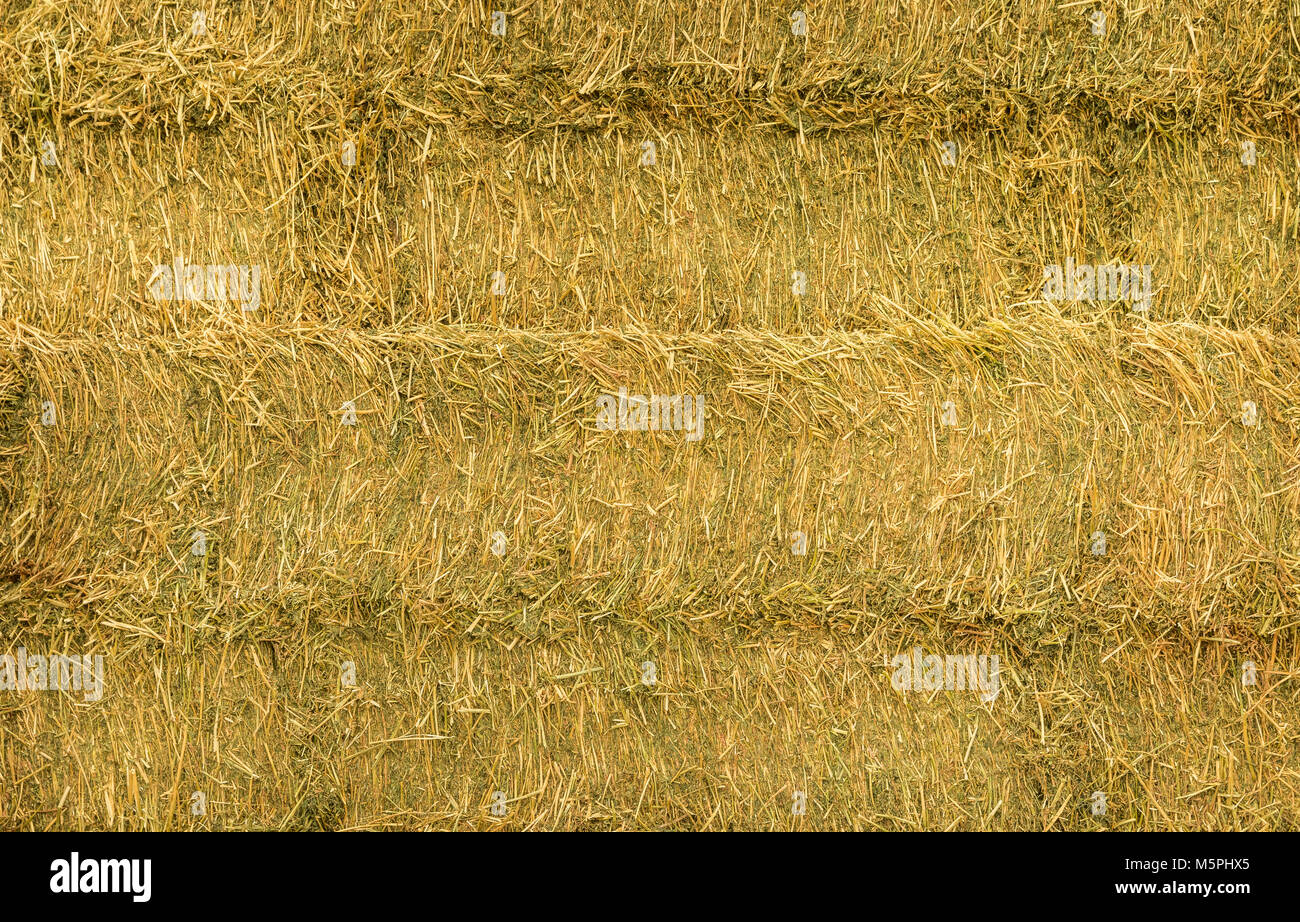 Texture of New Zealand stacked hay Stock Photo - Alamy