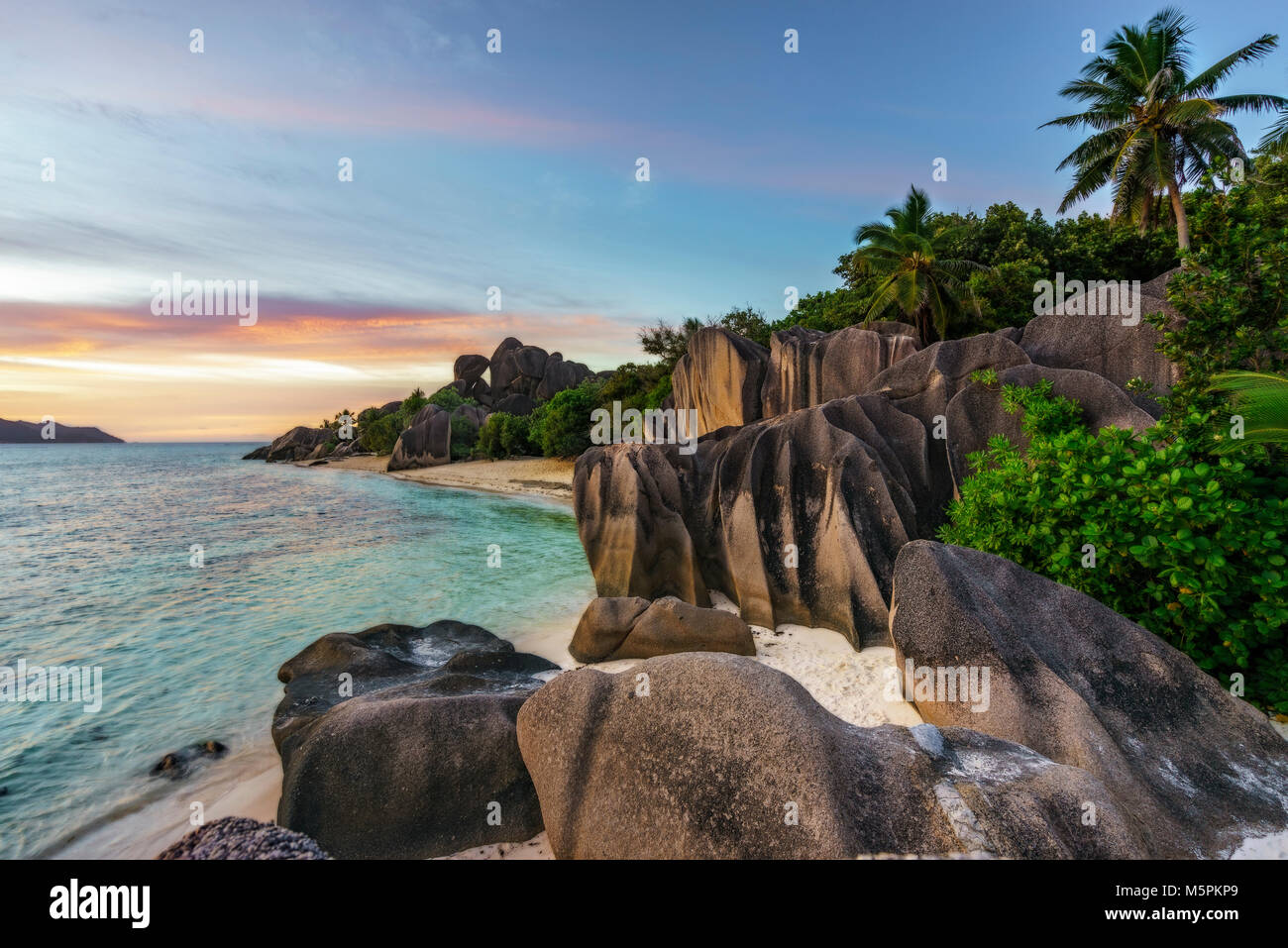 Coconut tree and rocks High Resolution Stock Photography and Images - Alamy