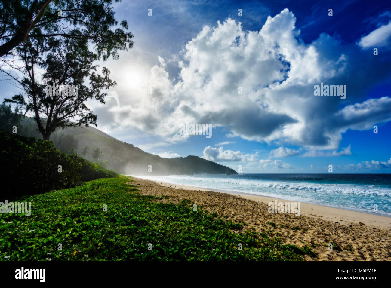 Trees over tropical lagoon wild hi-res stock photography and images - Alamy