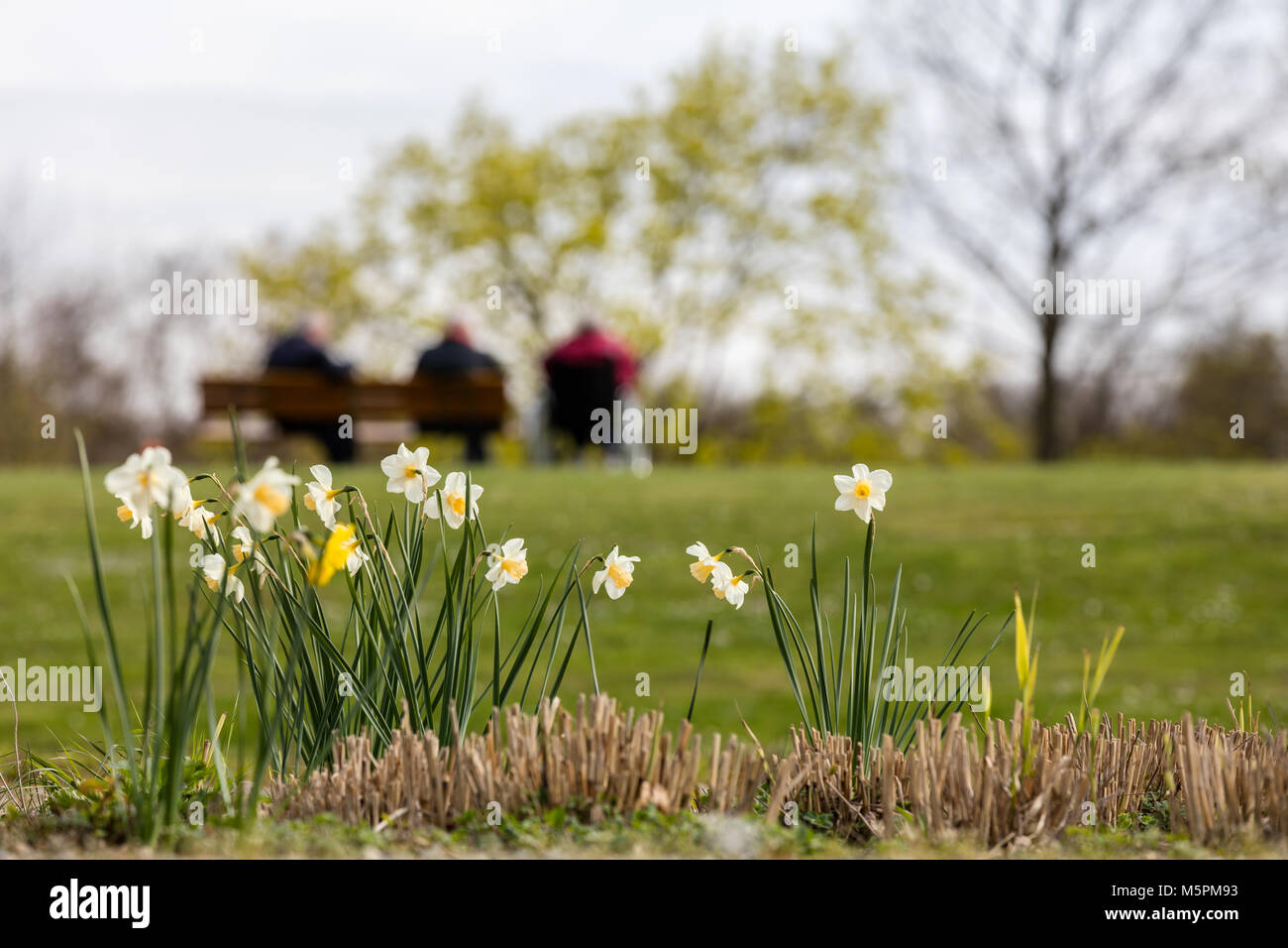 Humans and nature enjoy the early spring sun Stock Photo - Alamy