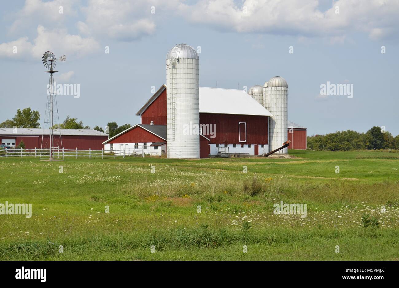 Barn and silo surrounded by lush green farmland crops on a bright ...