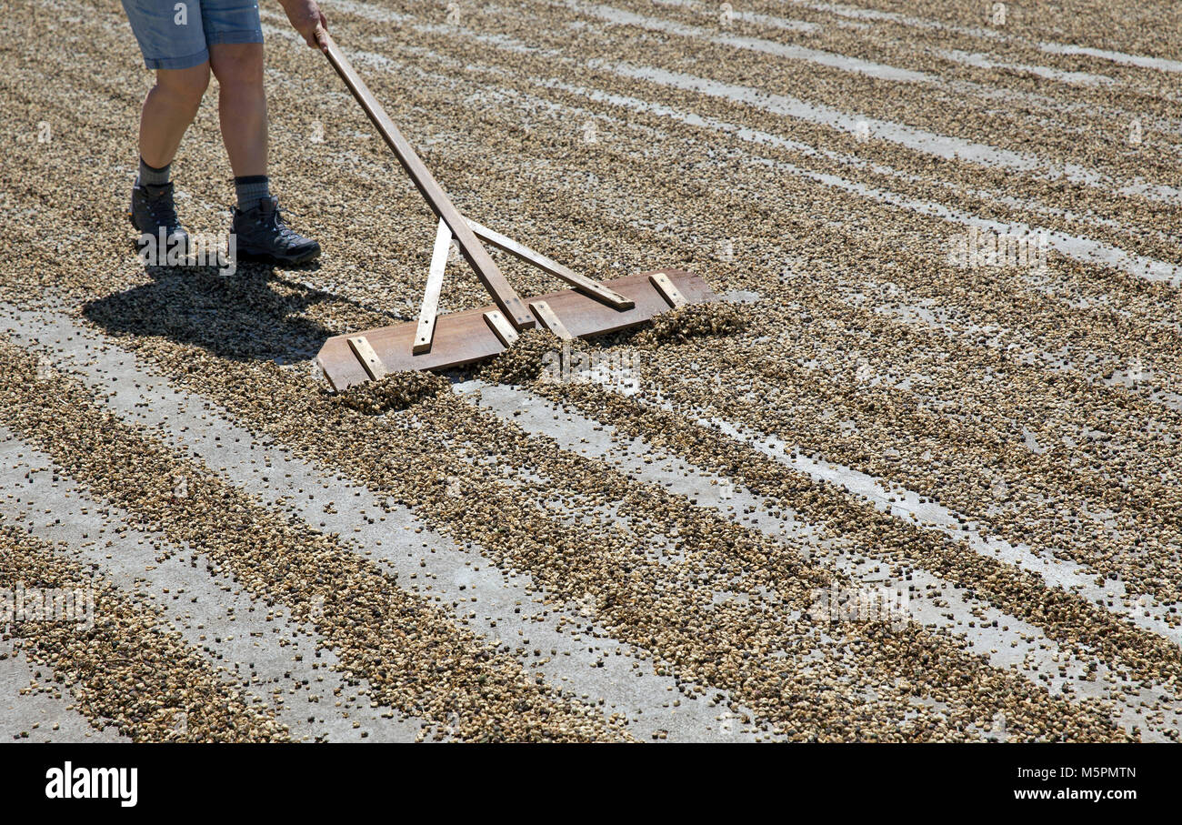 Traditional dry farming hi-res stock photography and images - Alamy