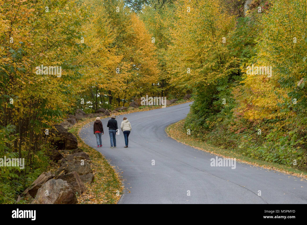 Walking friends autumn hi-res stock photography and images - Alamy
