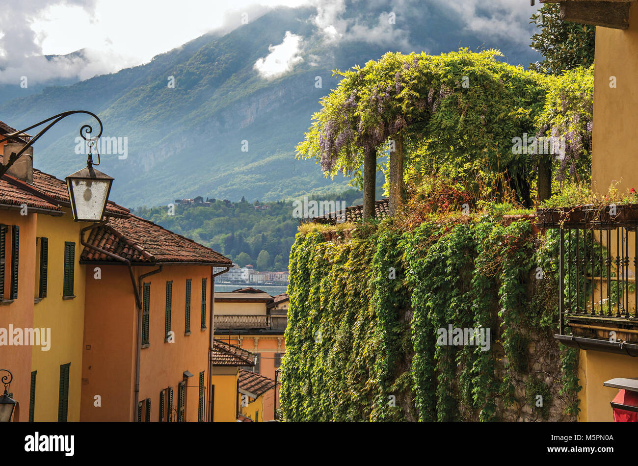 View of Como Lake, balconies with open blinds and bindweed in Bellagio ...