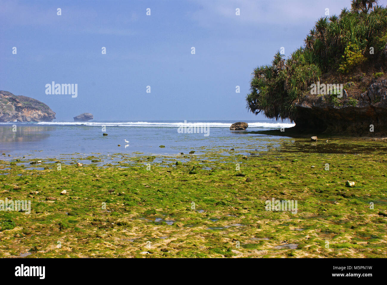 Pantai drini hi-res stock photography and images - Alamy