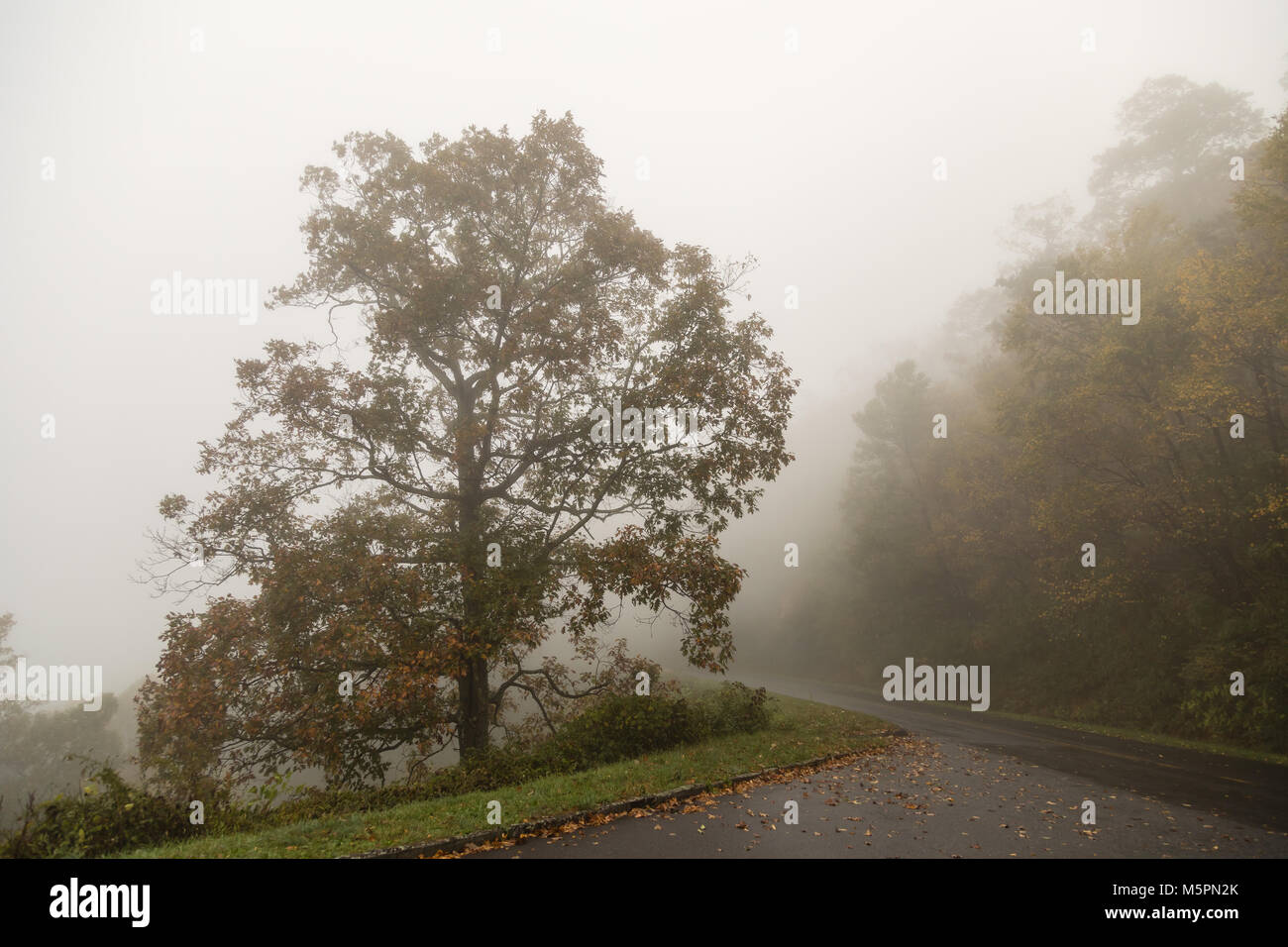 Fog in Blue Ridge Stock Photo - Alamy