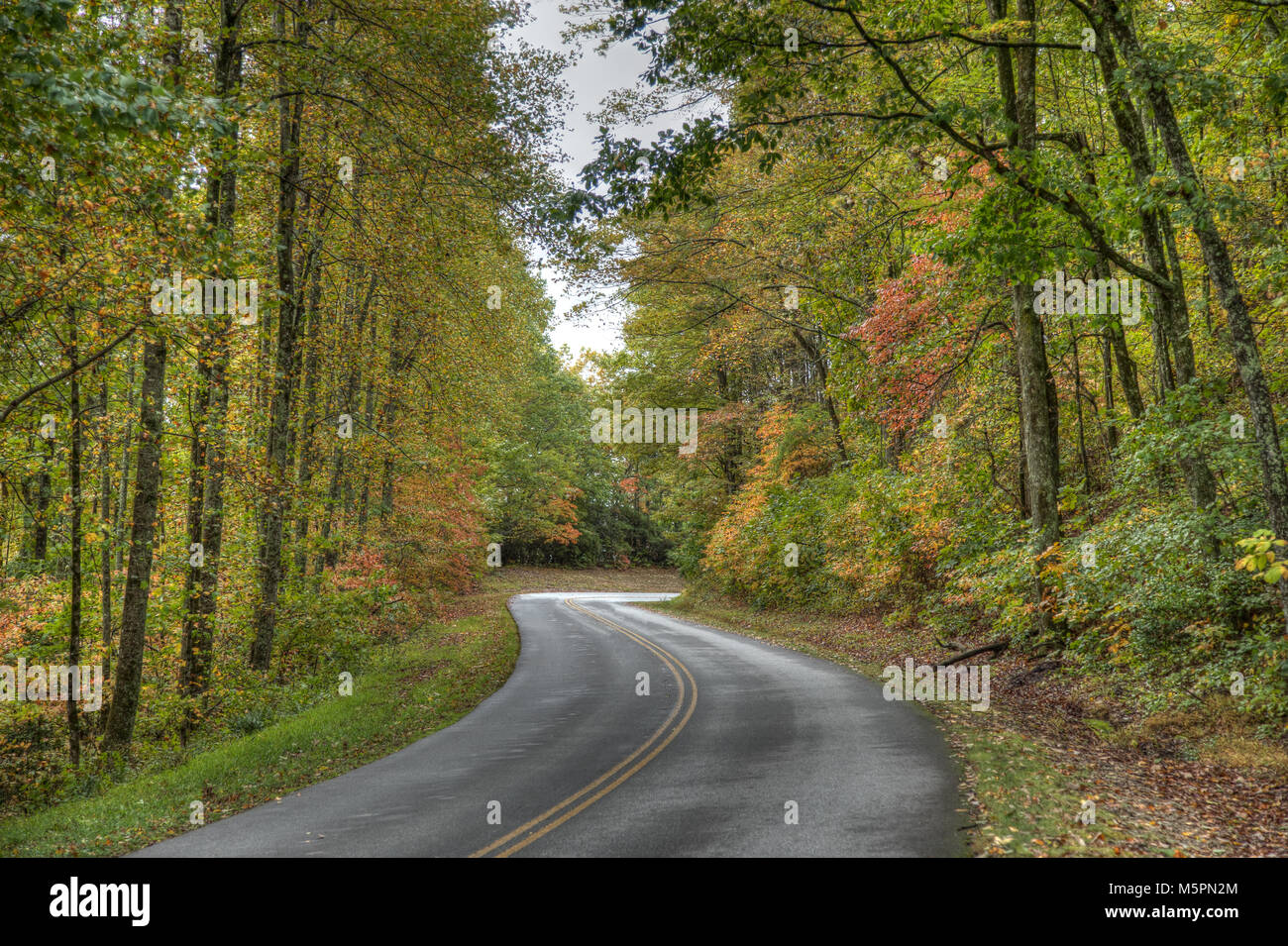 Fog in Blue Ridge Stock Photo - Alamy