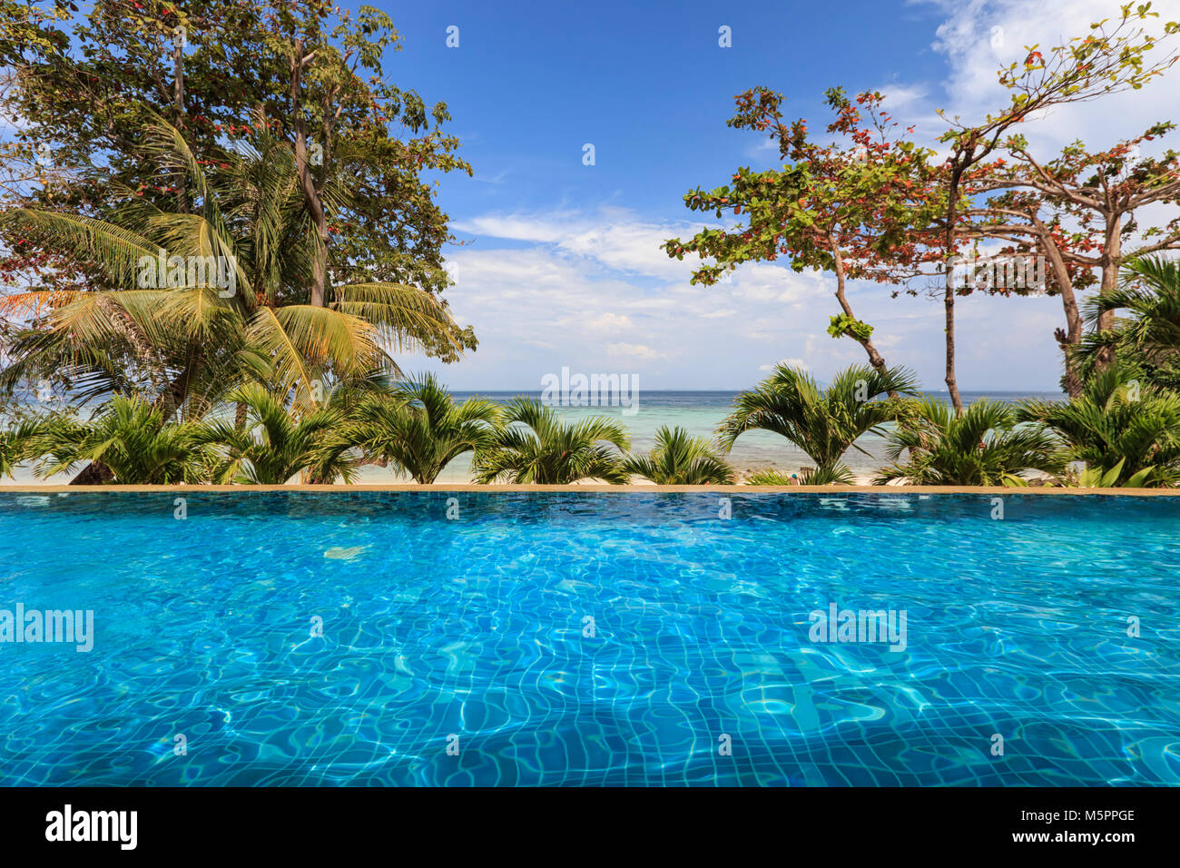Infinity pool overlooking the beach in Phi Phi Don Island in Krabi ...
