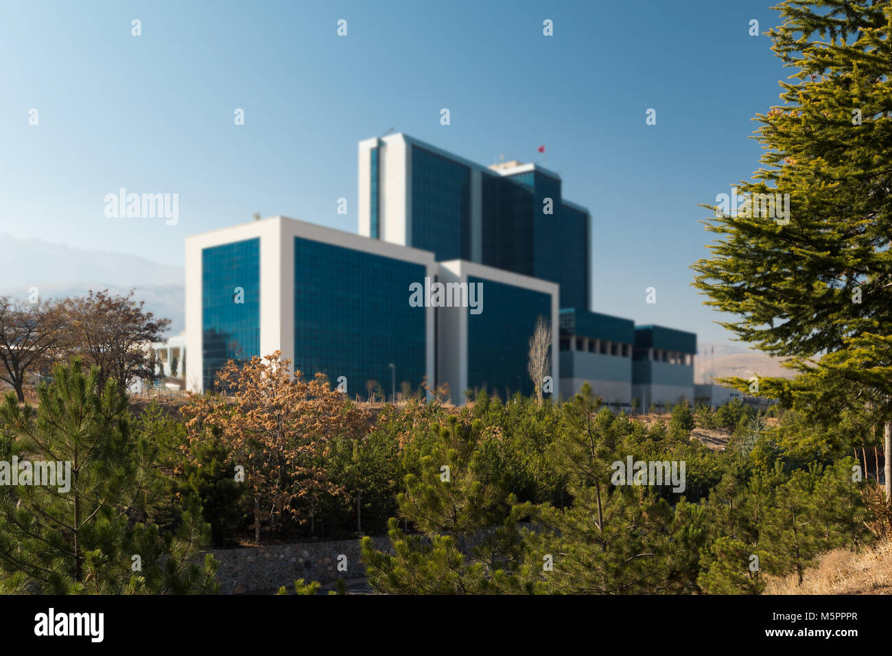 Modern tree glass house hi-res stock photography and images - Alamy