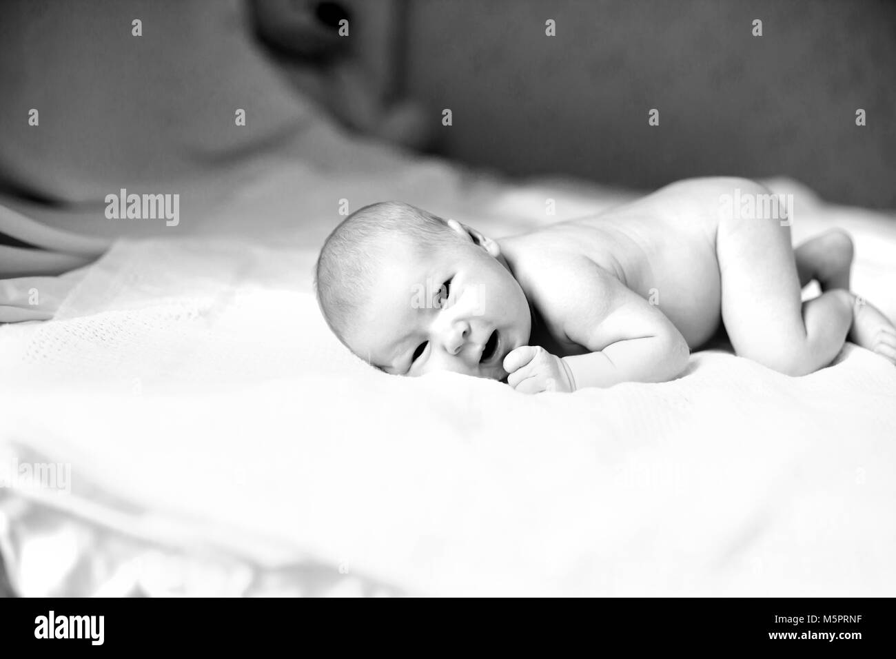 Black White Photo Newborn Baby Stock Photos & Black White Photo Newborn ...