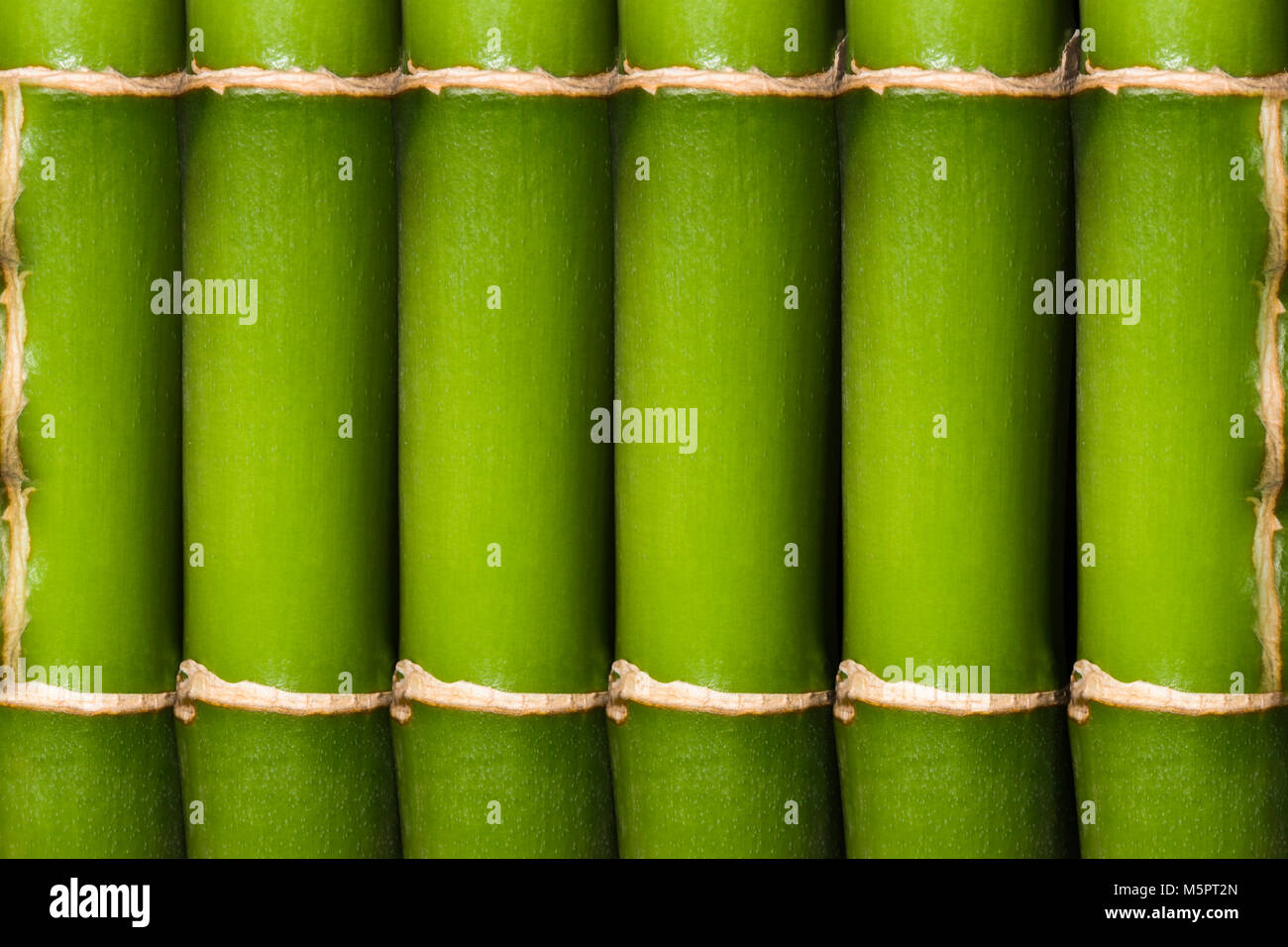 green bamboo, close-up, decorative frame Stock Photo - Alamy