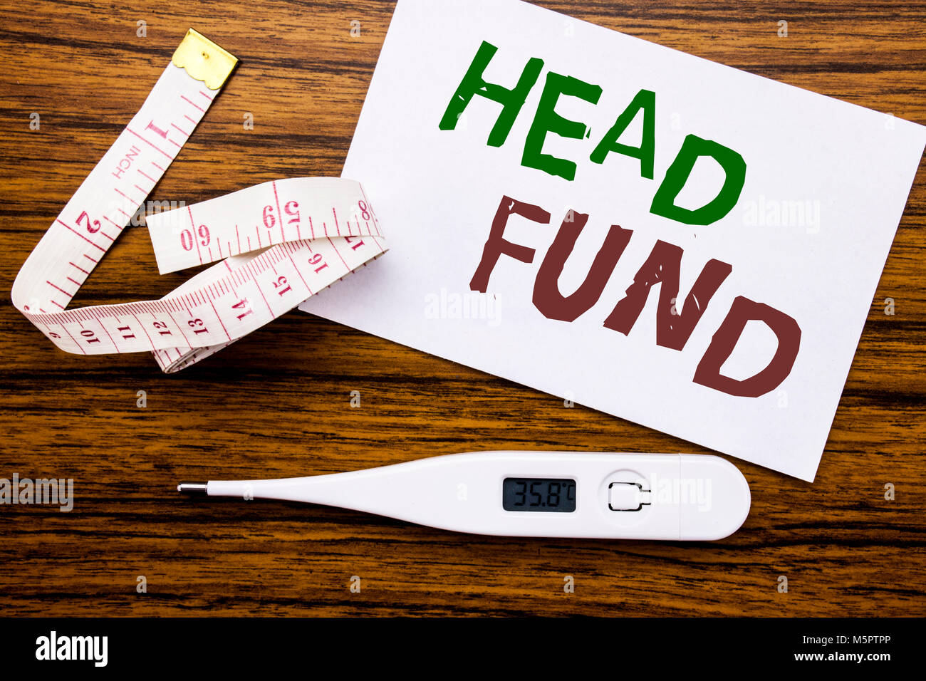 Conceptual hand writing text caption showing Head Fund. Business ...