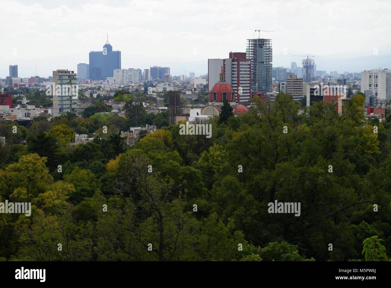 View of Mexico City from Bosque de Chapultepec park Stock Photo - Alamy