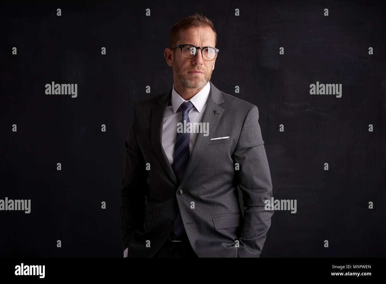 Portrait of executive middle aged financial director businessman ...