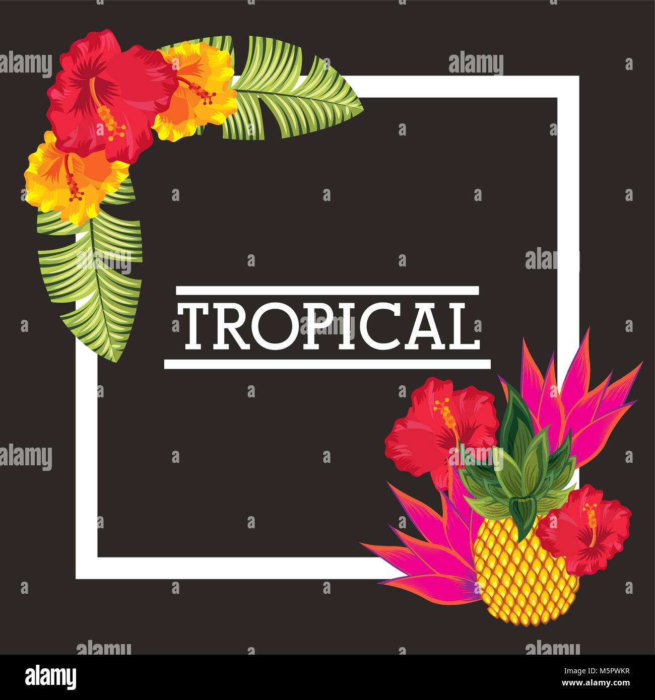 tropical flower pineapple leaves card Stock Vector Image & Art - Alamy