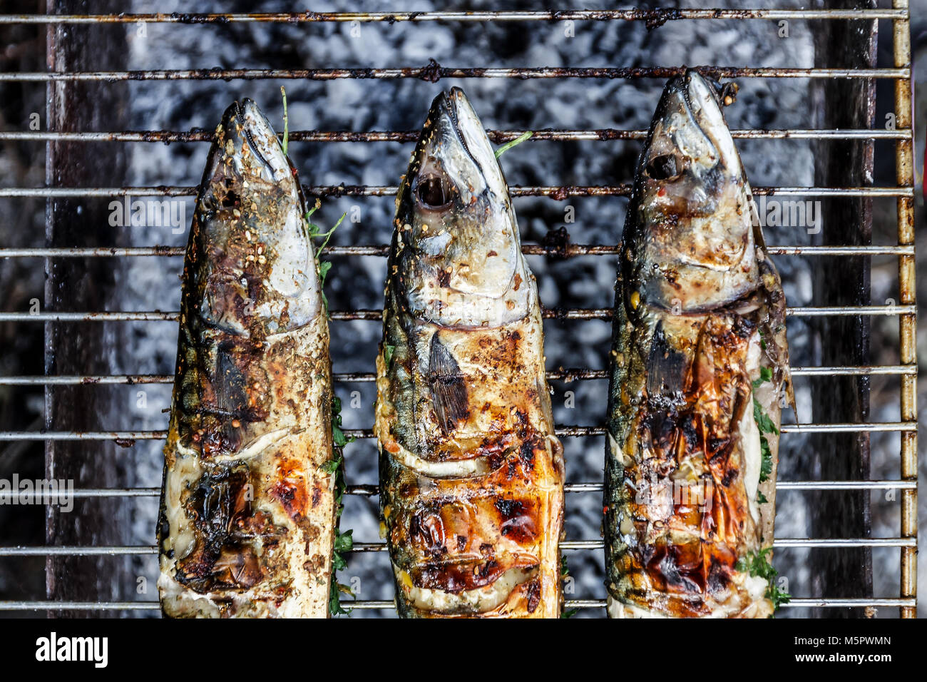 Roasted carcass fish mackerel cooked on the grill, top view, close-up ...