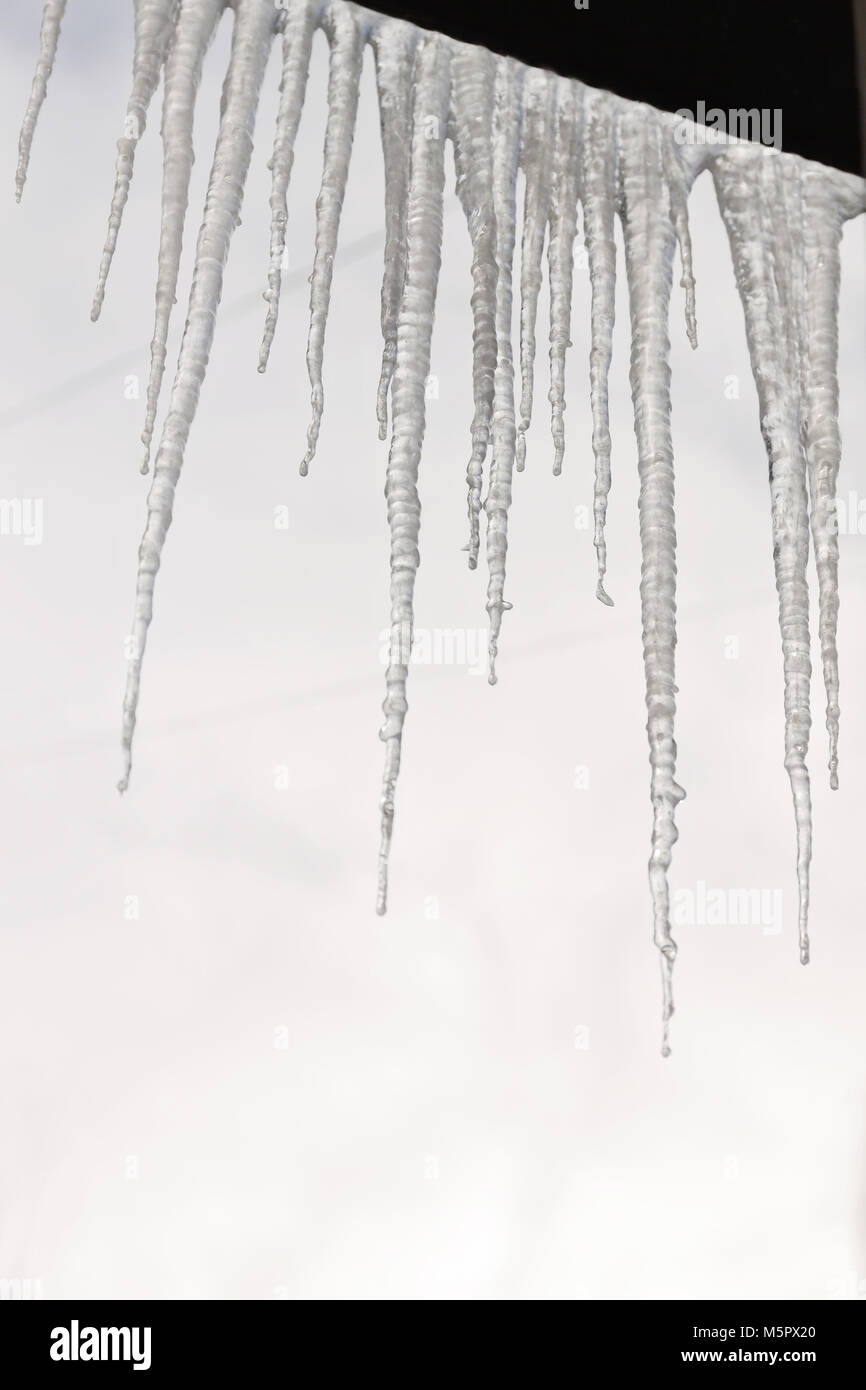 Dangerous icicles hang from the snowy roof of the house. Big icicles in ...