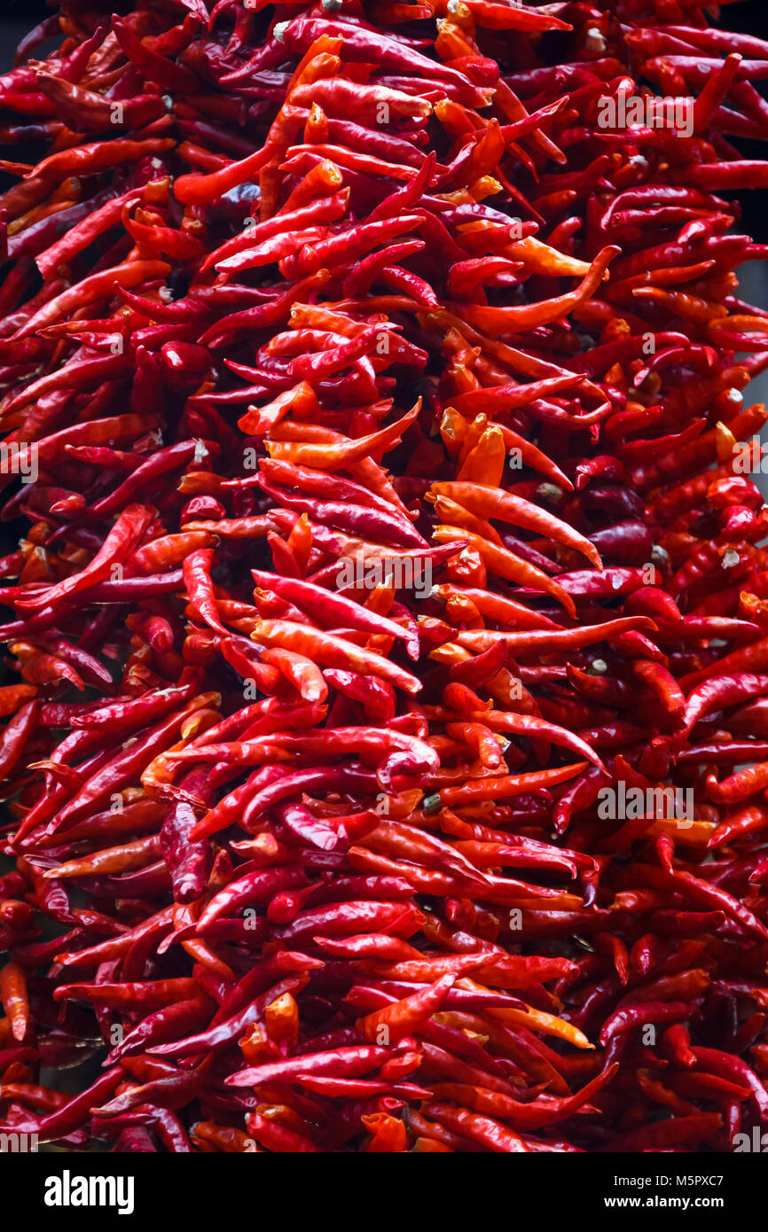 Close-up of red dried chilli pepper, which is hung out in one of the ...