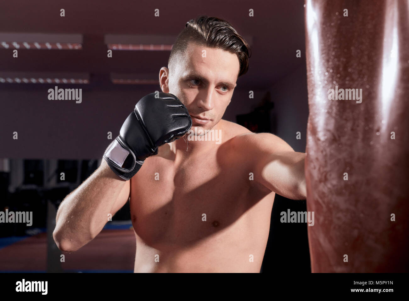 boxer headshot, portrait, face head close up, weaing boxing gloves ...