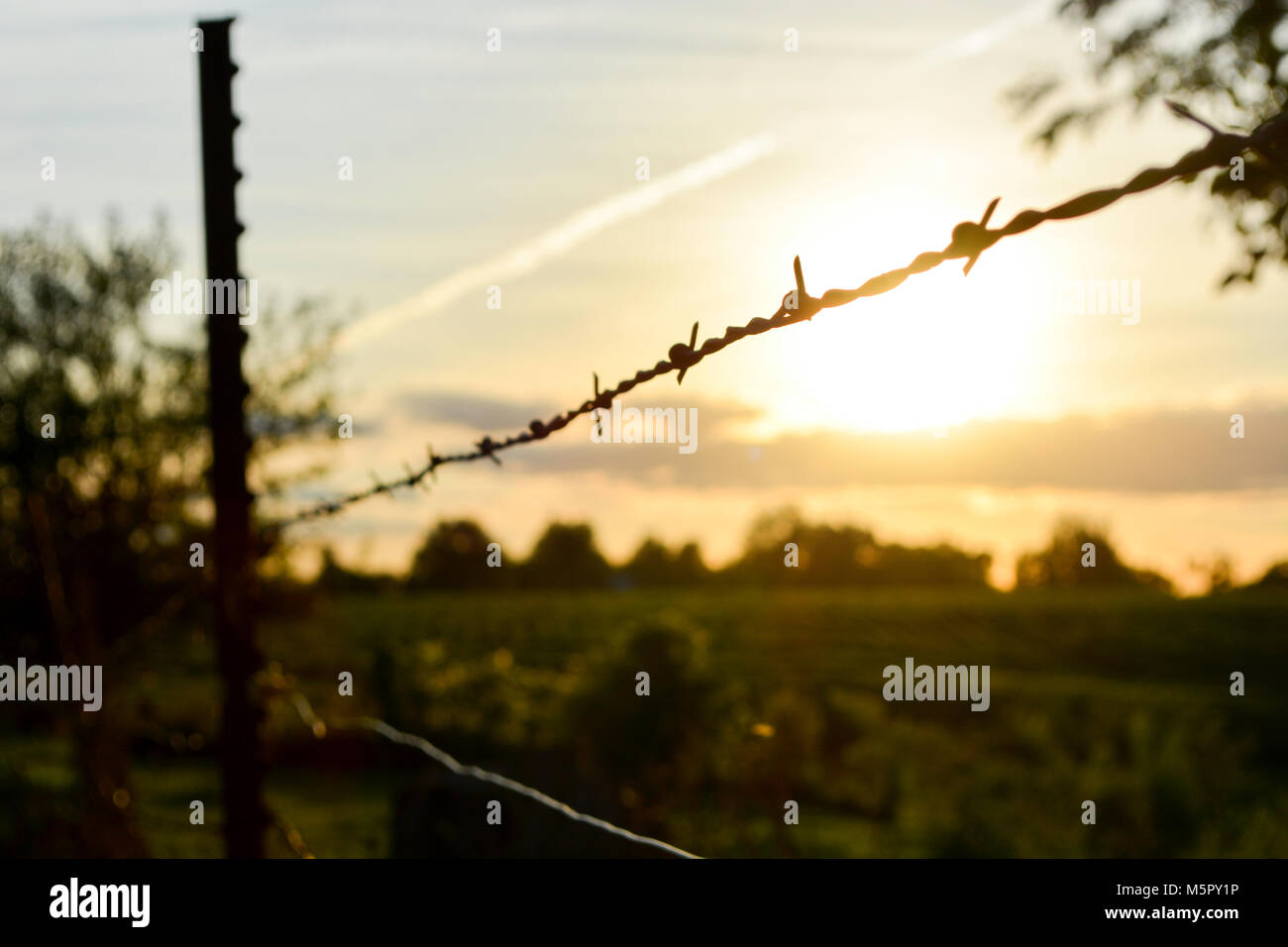 Serenity farm hi-res stock photography and images - Alamy