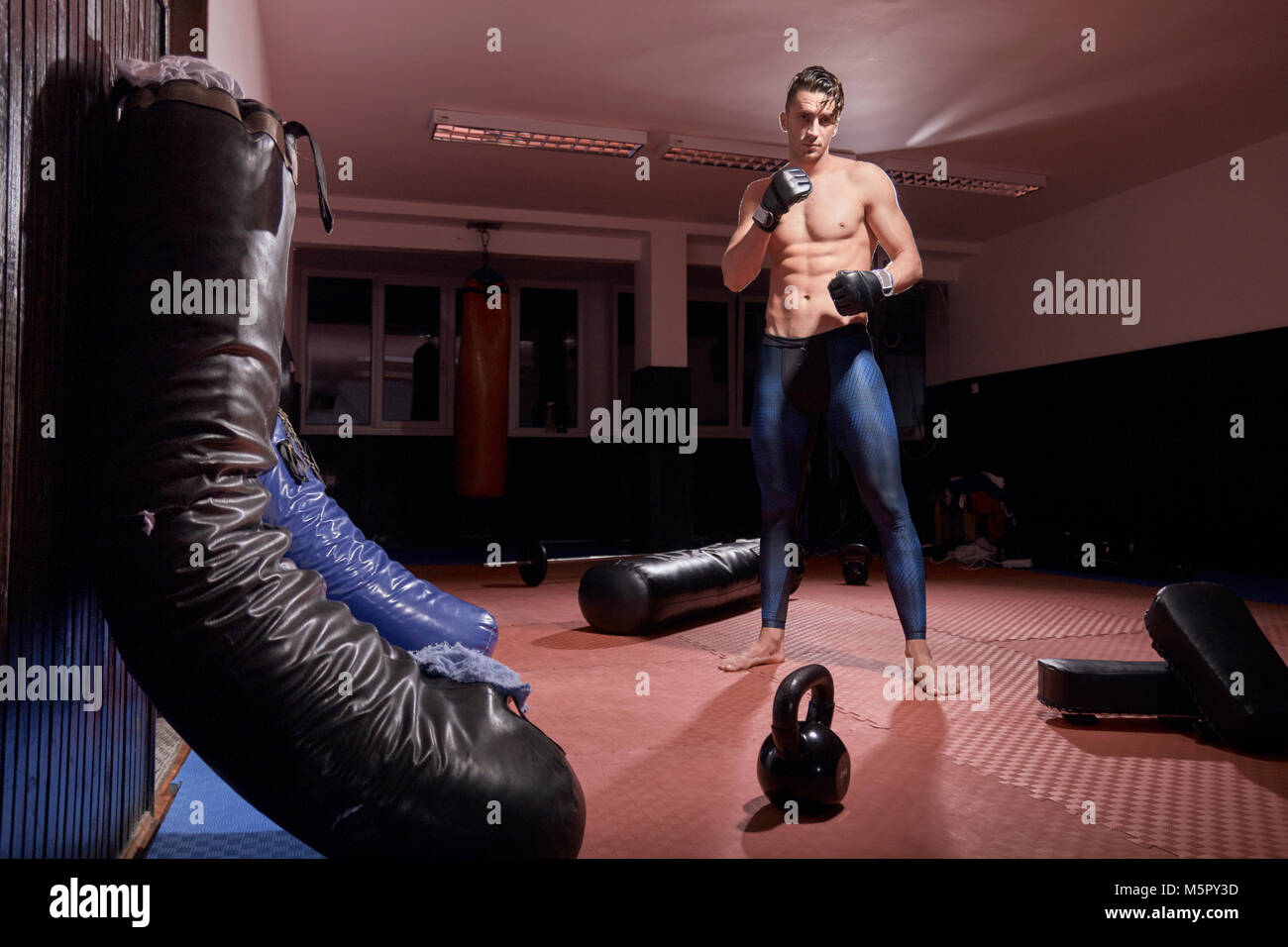 one boxer posing, indoors, boxing bag, fitness boxing equipment ...