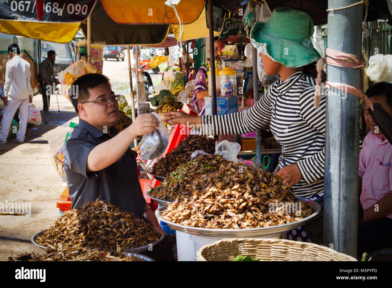 Food from insect hi-res stock photography and images - Alamy