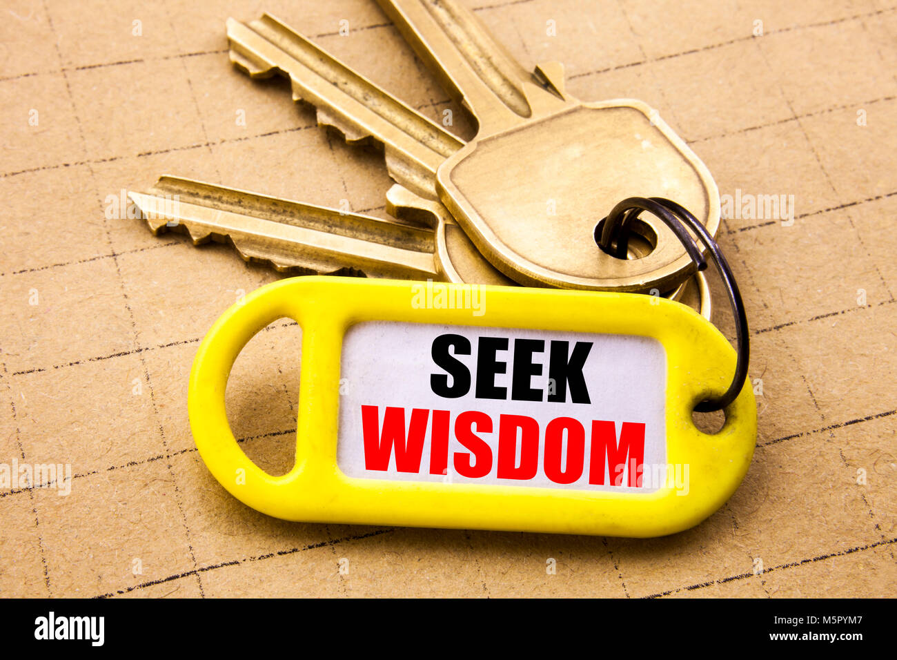 Word, writing Seek Wisdom. Business concept for Inspiration Knowledge ...