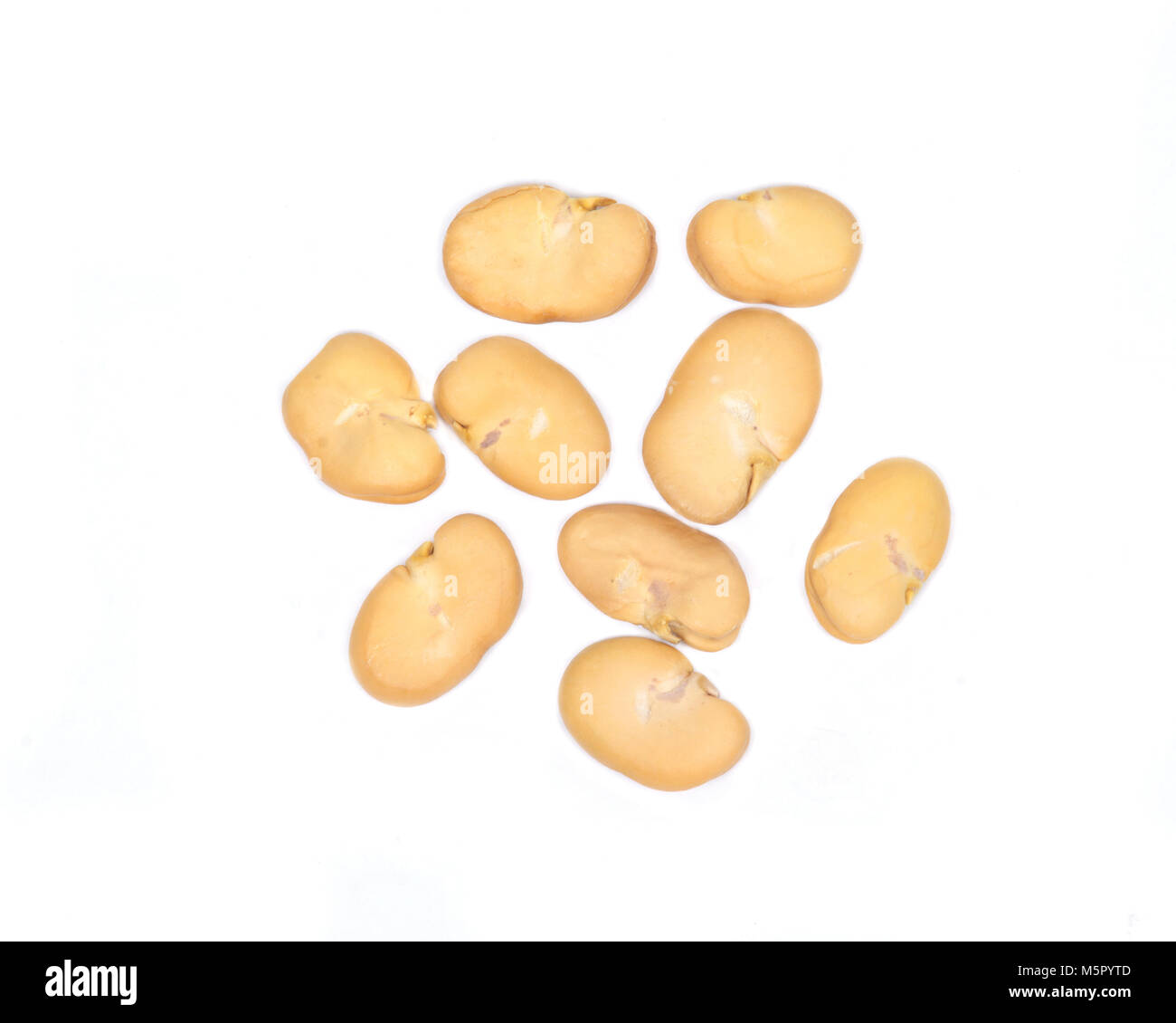 Organic dry broad haba beans isolated on white background Stock Photo ...