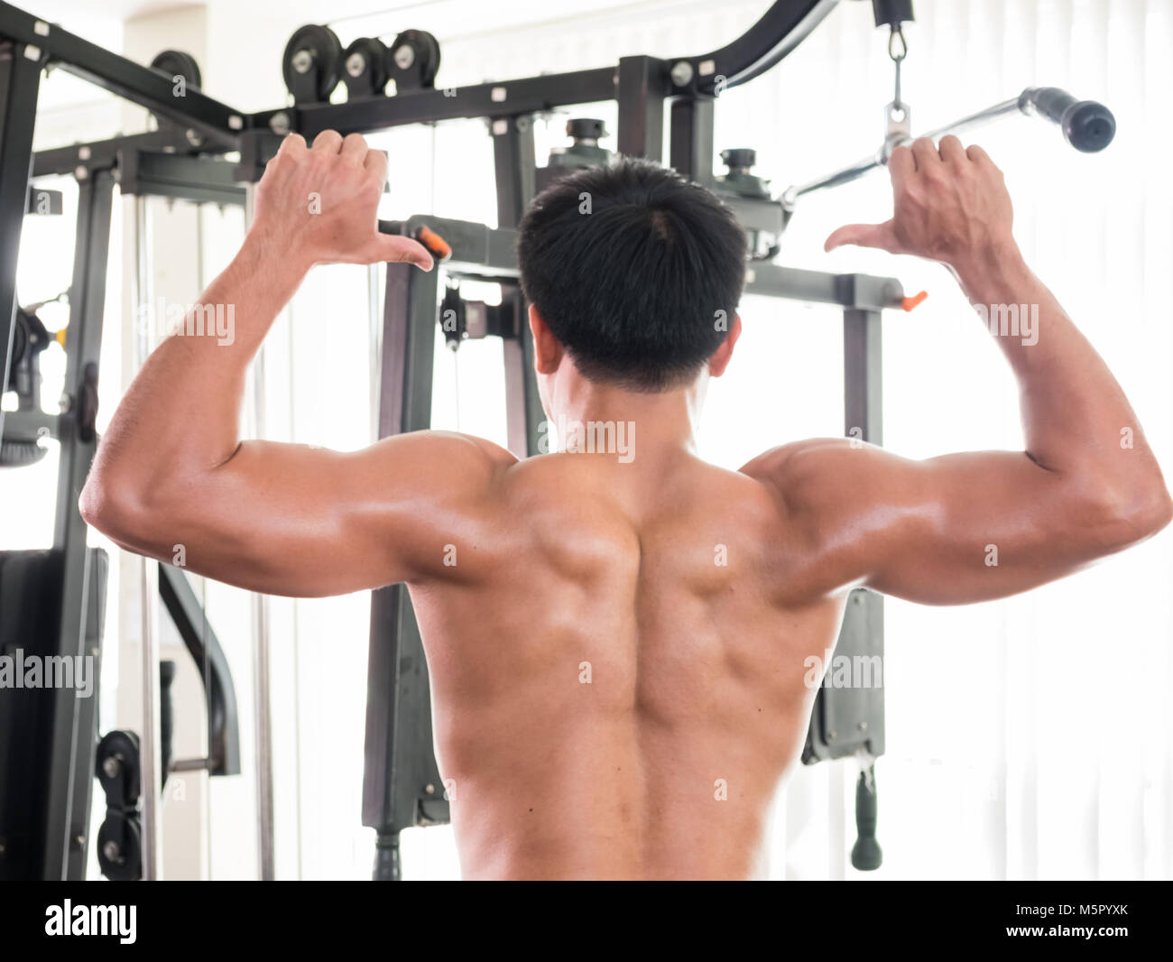 Anatomy male muscular back view hi-res stock photography and images - Alamy