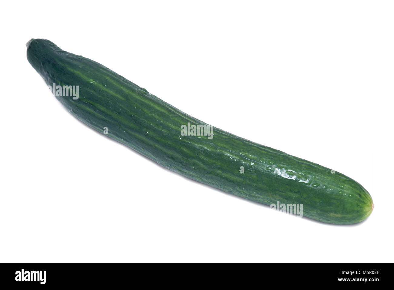 Long fresh english cucumber from greenhouse isolated on white ...