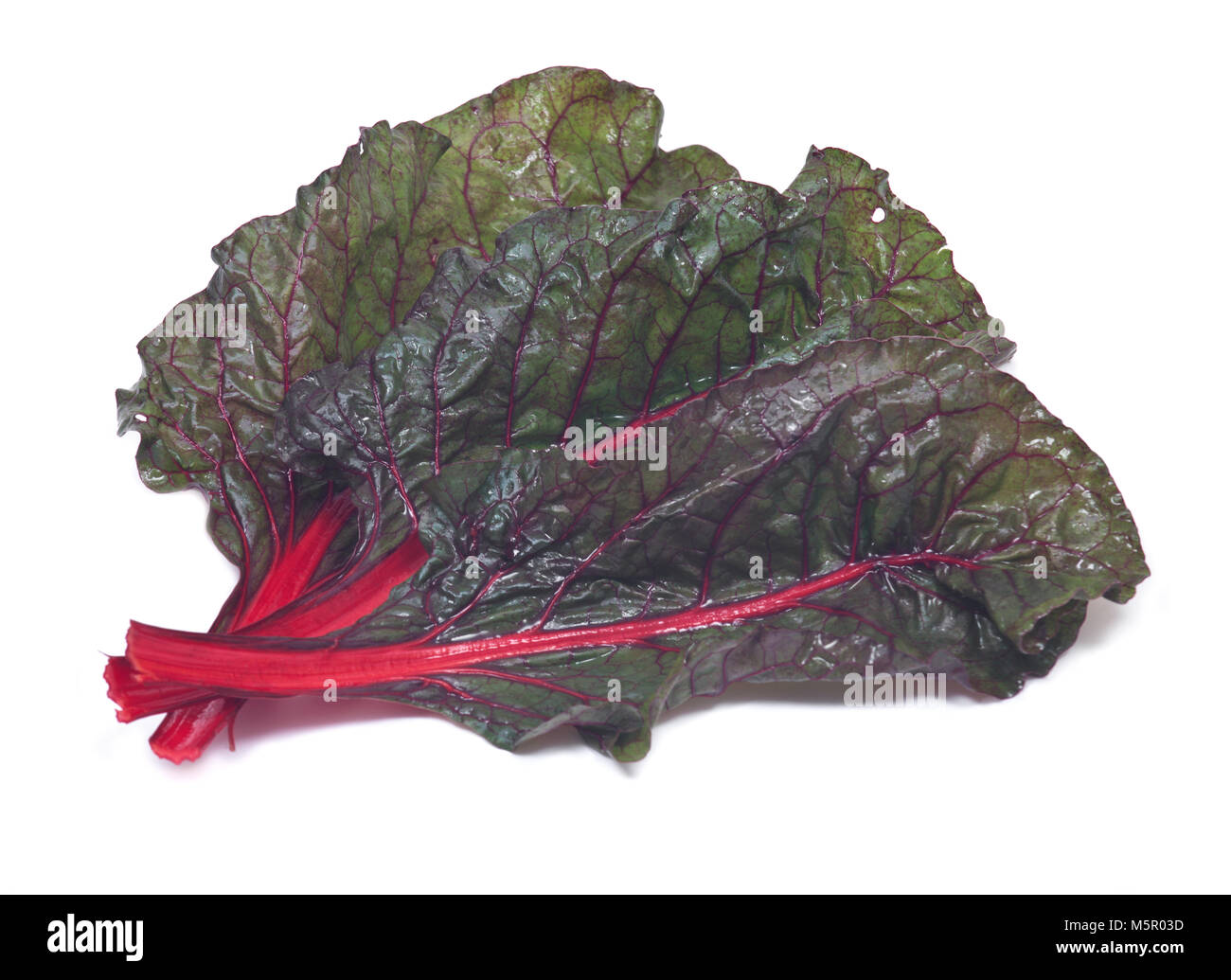Red organic swiss chard isolated on white background Stock Photo - Alamy