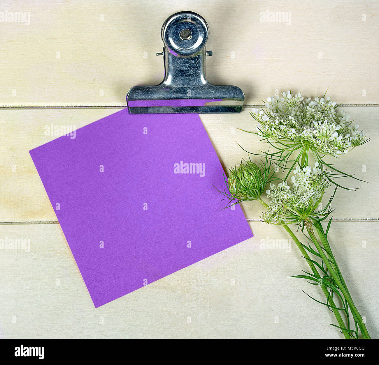 bold purple note paper on clipboard with Queen Anne's Lace bouquet ...