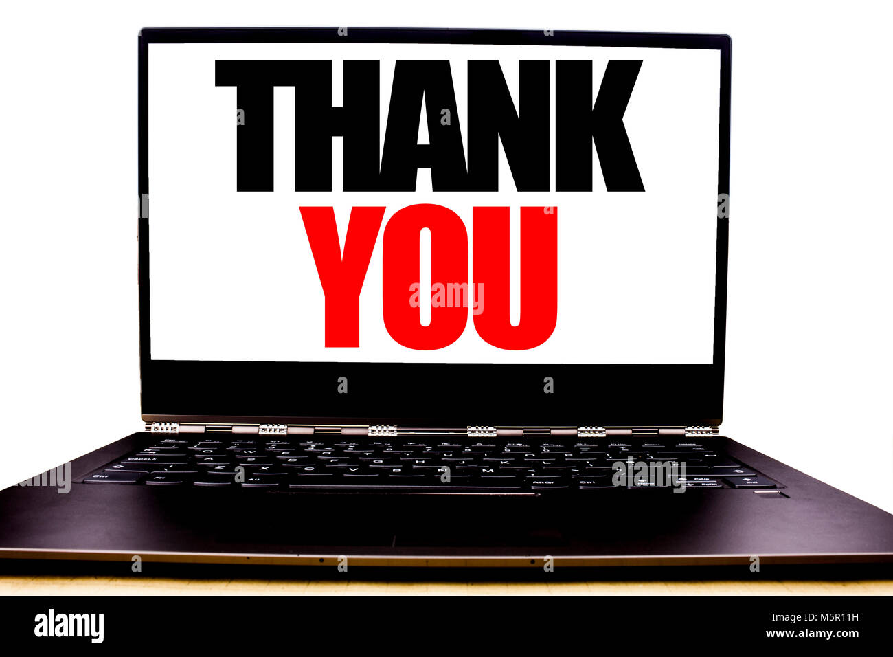 Handwritten text showing Thank You. Business concept writing for ...