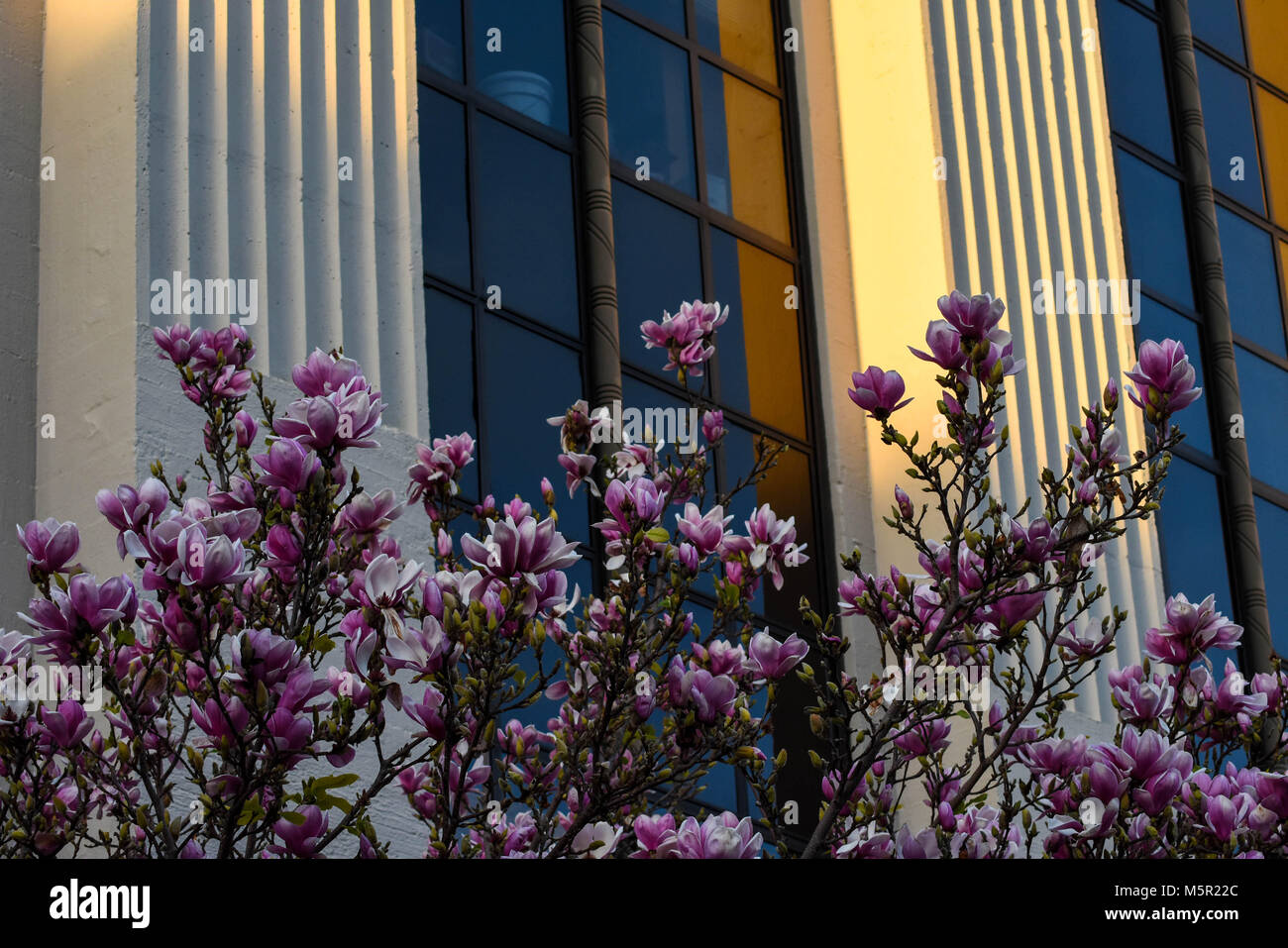 UC Berkeley's stunning campus contains natural and architectural beauty ...