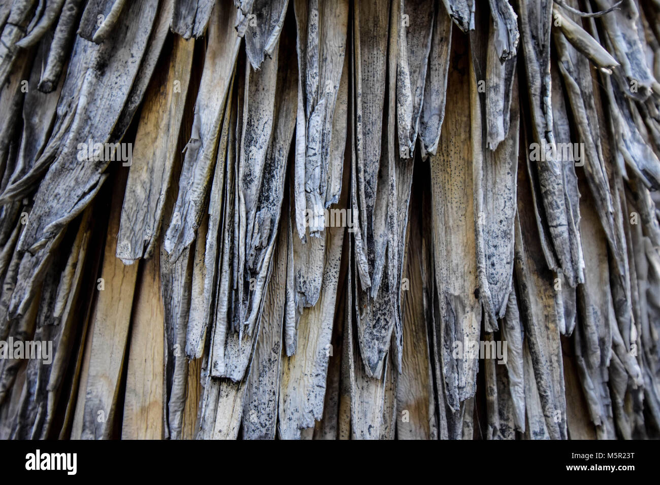The UC Berkeley Botanical Garden is an incredible source of natural ...